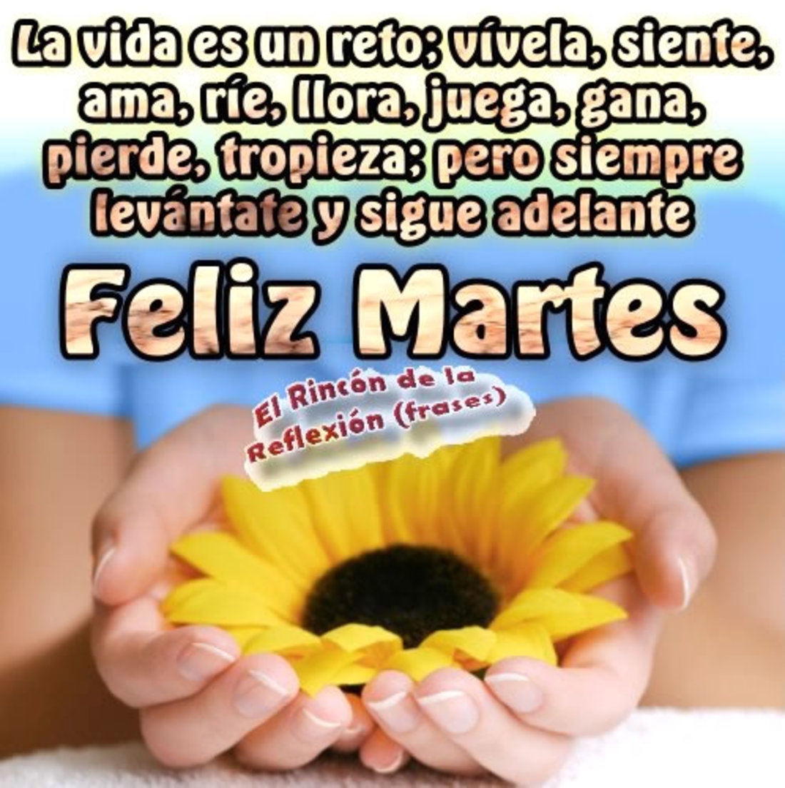 Feliz Martes bellas imágenes y frases - Página 5 de 10 ...