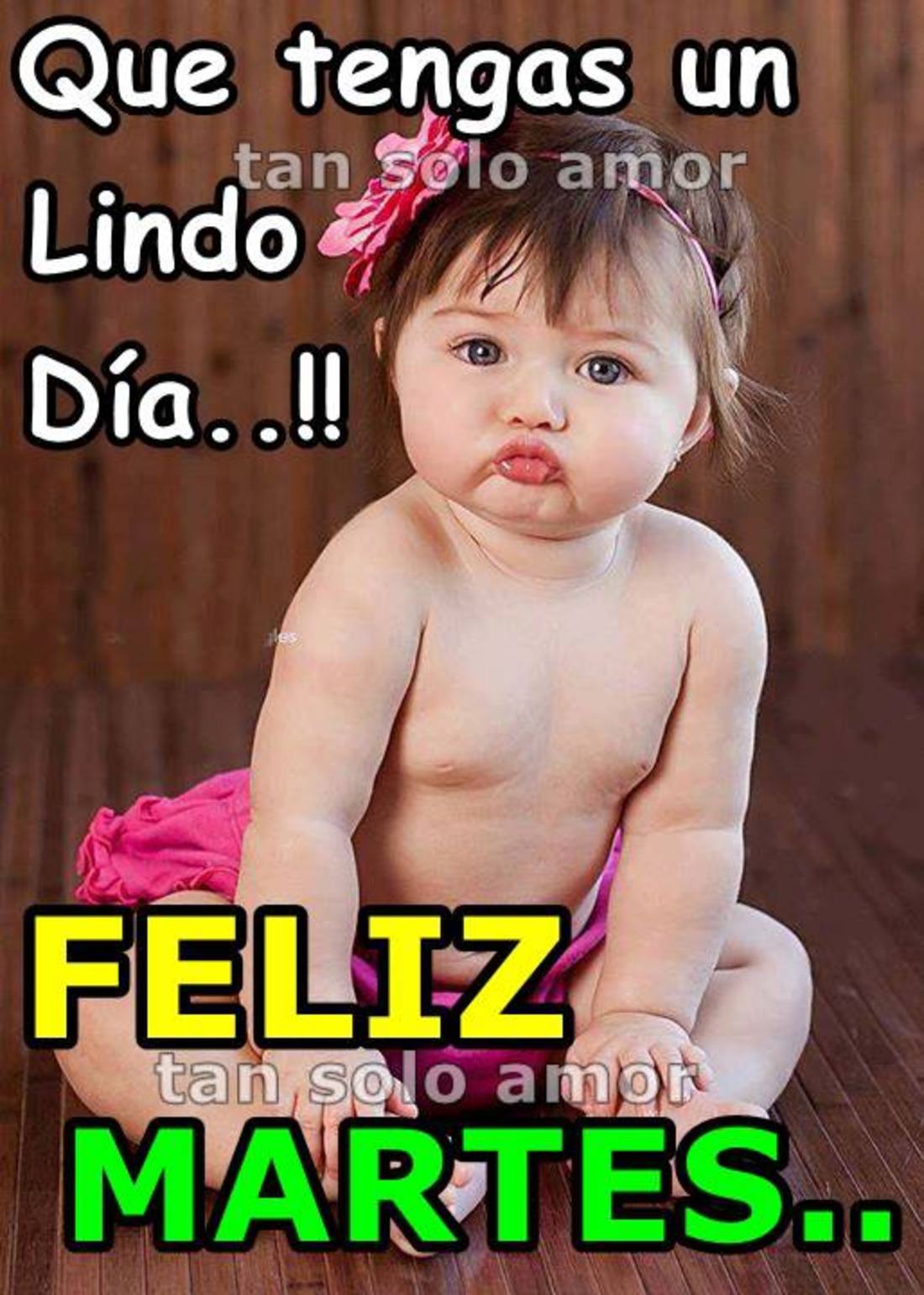 Feliz Martes bellas imágenes y frases - Página 6 de 10 ...