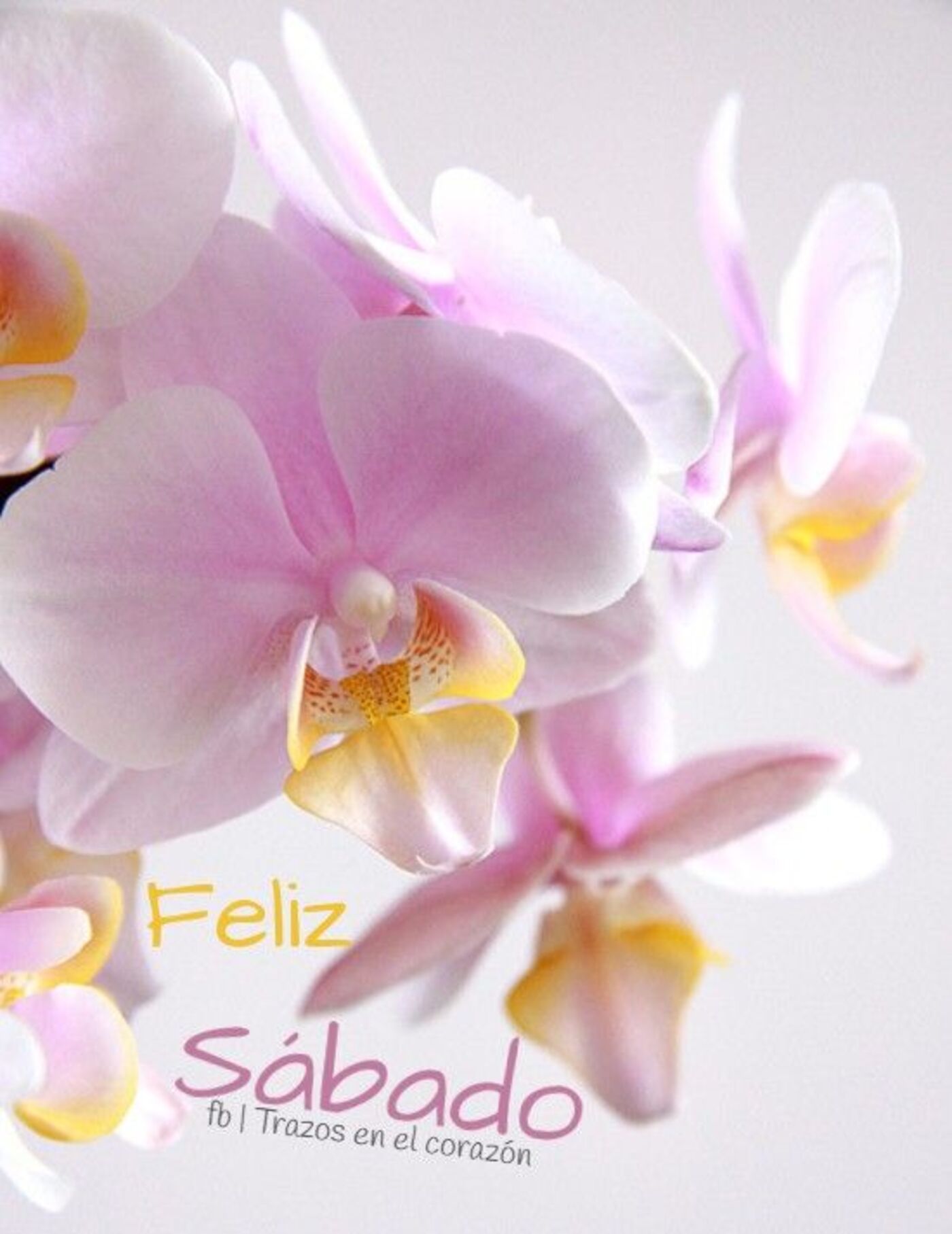 Feliz Sábado Buenos Días imágenes nuevas - Página 3 de 10 ...