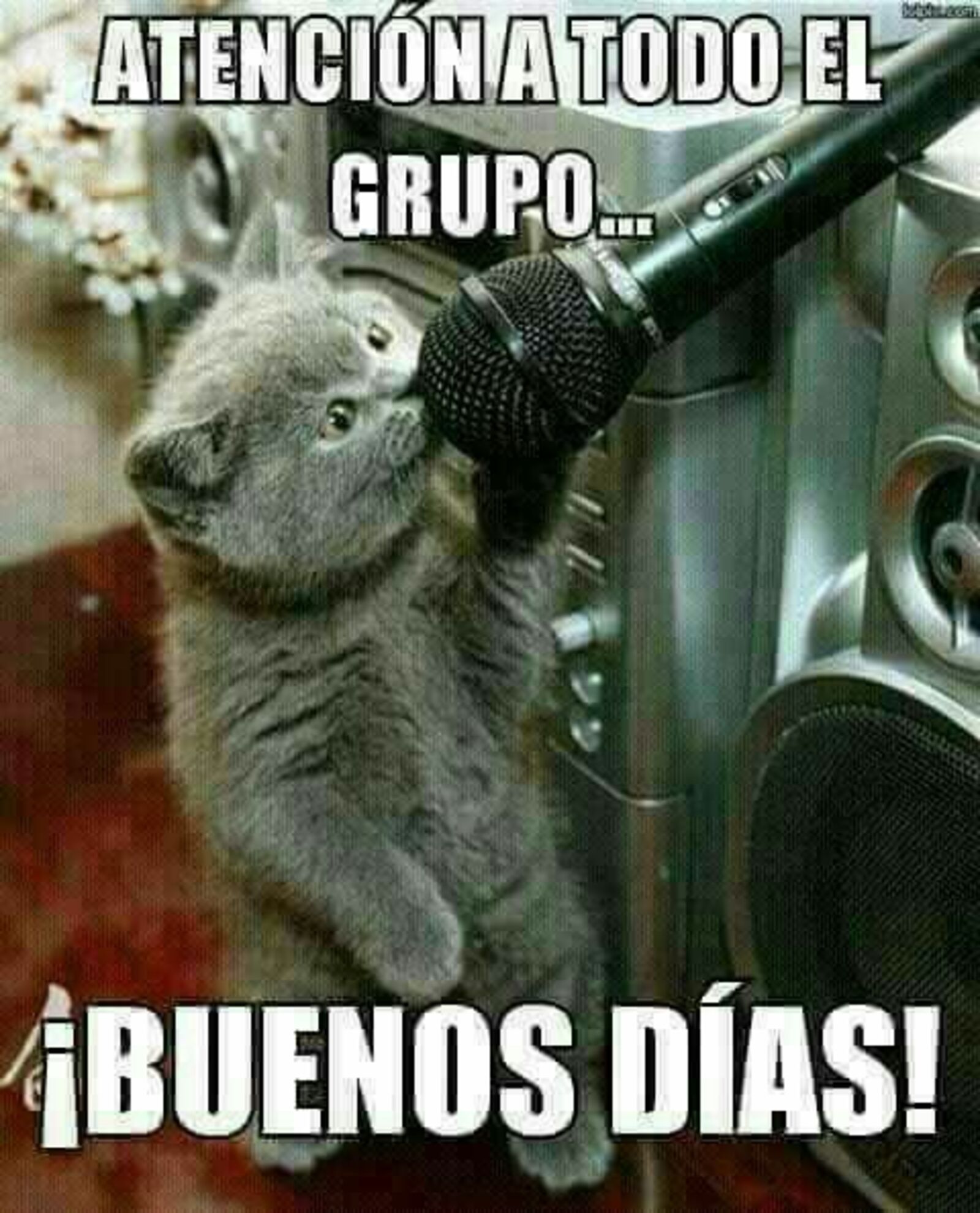 349+ Imágenes de Buenos Días nuevas - Página 31 de 35 ...