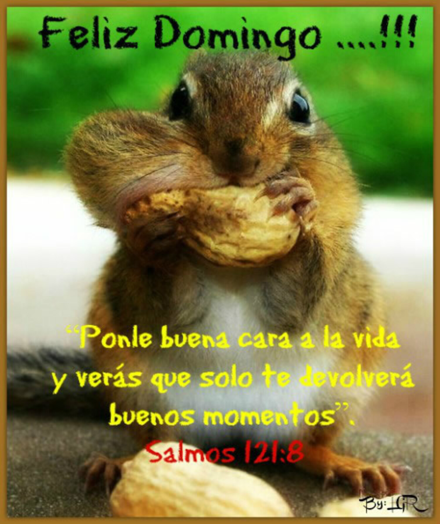 Imágenes lindas de Feliz Domingo para WhatsApp - Página 7 de 10 ...